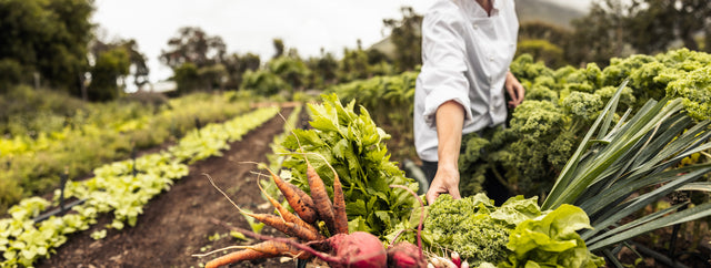 Ingredients – Juce Organics