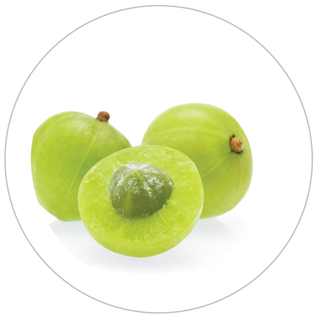 Ingredients – Juce Organics